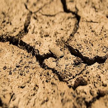 Die vier Elemente | Mit Herz gemacht